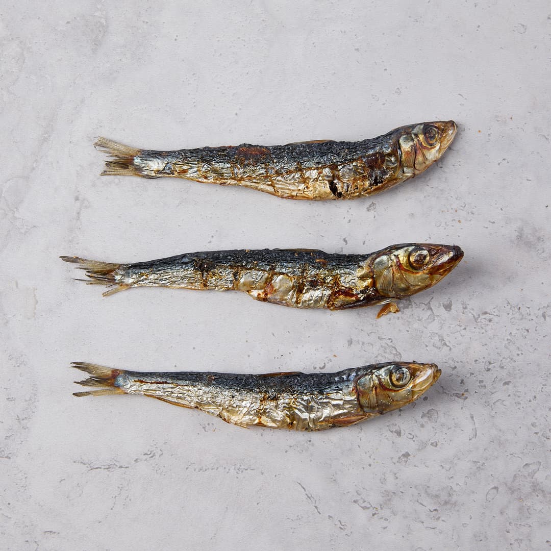 Dried Sardines for Dogs | Tucker Tub